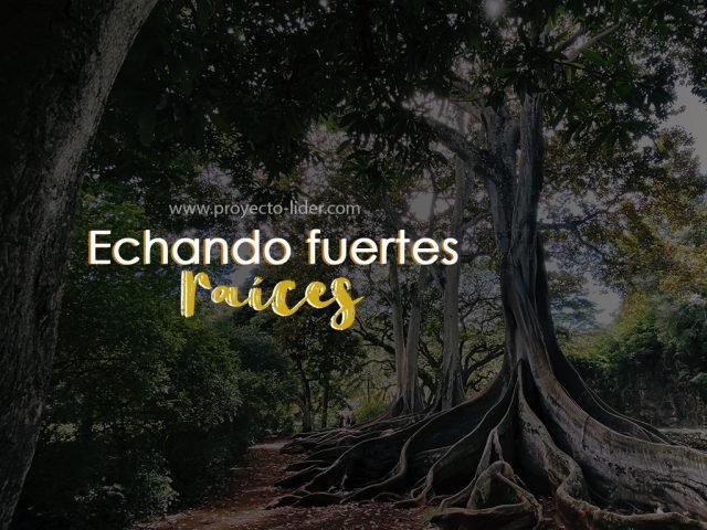 Predicas CRISTIANAS Escritas【 Bosquejos para Predicar 】 ️